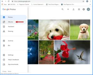How to Create a Shared Album on Google Photos | IT4nextgen
