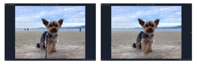 Exciting New AI Editing Features, Including Generative Erase, Now on ...